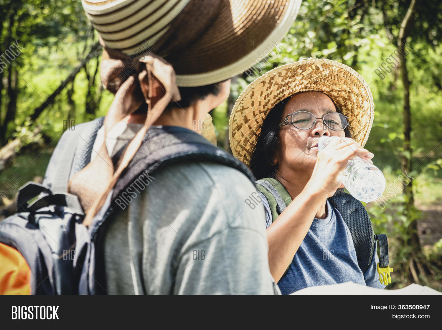 Two Senior Tourists Image & Photo (Free Trial) | Bigstock