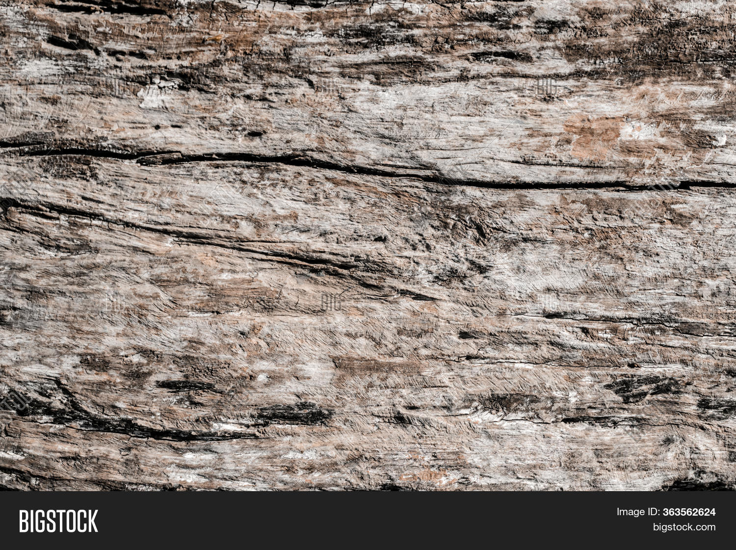 Wood Decay Wood Image & Photo (Free Trial) | Bigstock