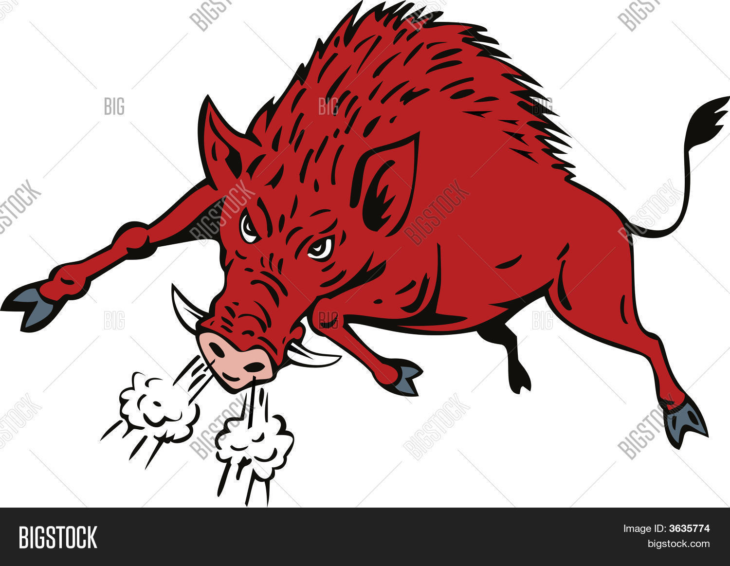 Razorback Vector & Photo (Free Trial) | Bigstock