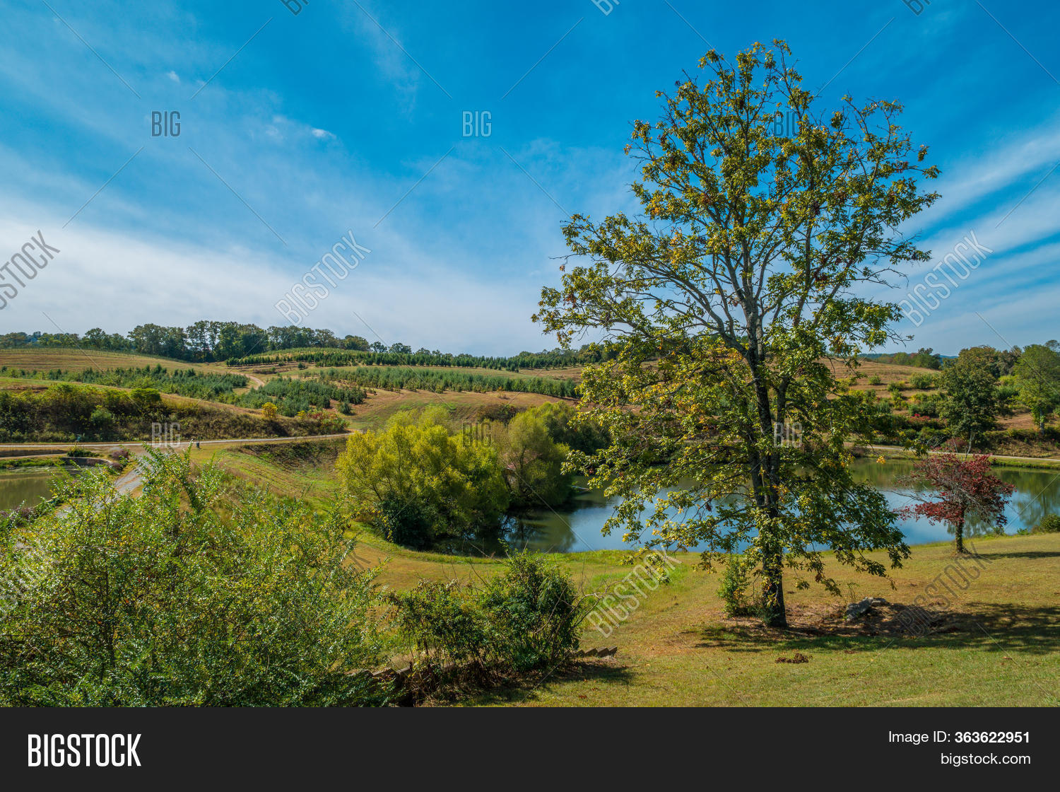Scenic Landscape Trees Image & Photo (Free Trial) | Bigstock