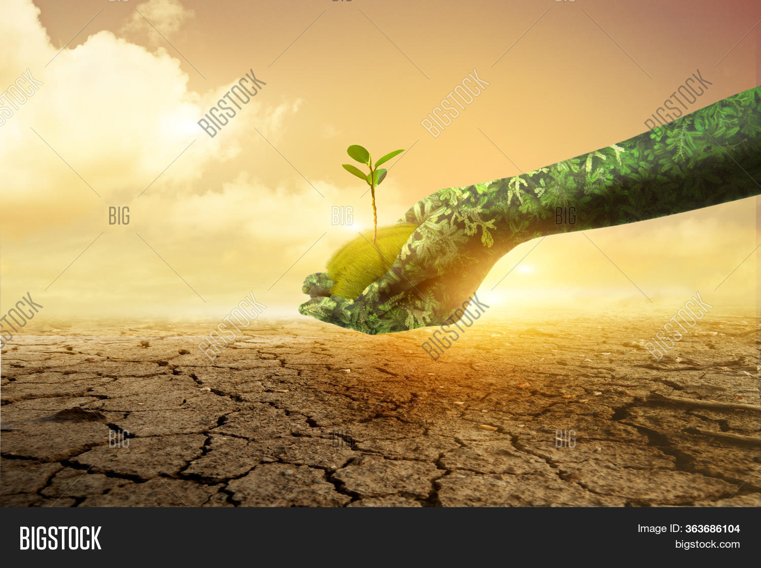 Green Hand Holding Image & Photo (Free Trial) | Bigstock