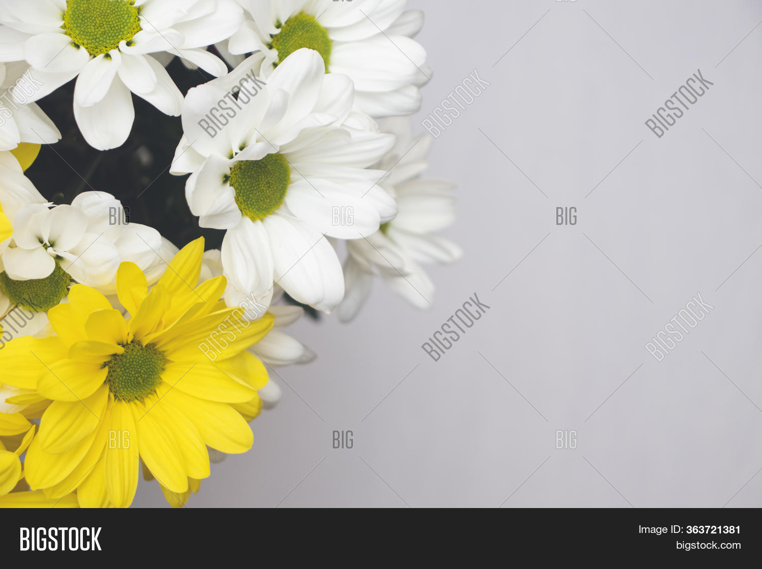 Background Multi- Image & Photo (Free Trial) | Bigstock