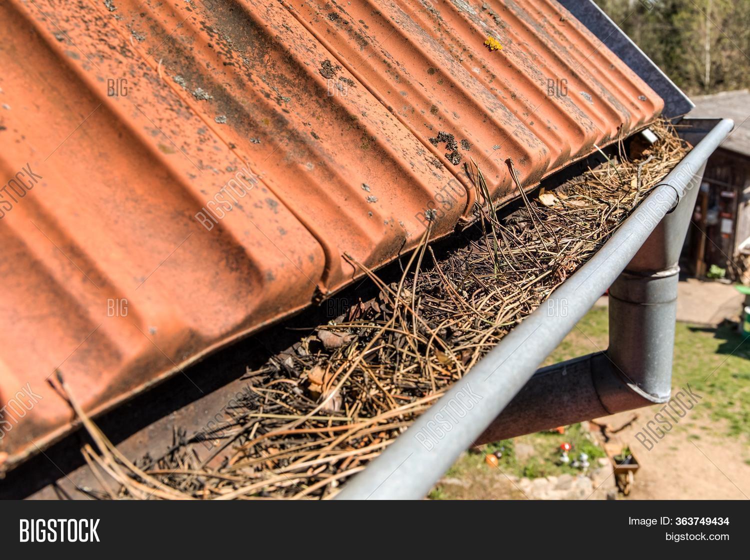 Gutters Full Debris Image & Photo (Free Trial) | Bigstock