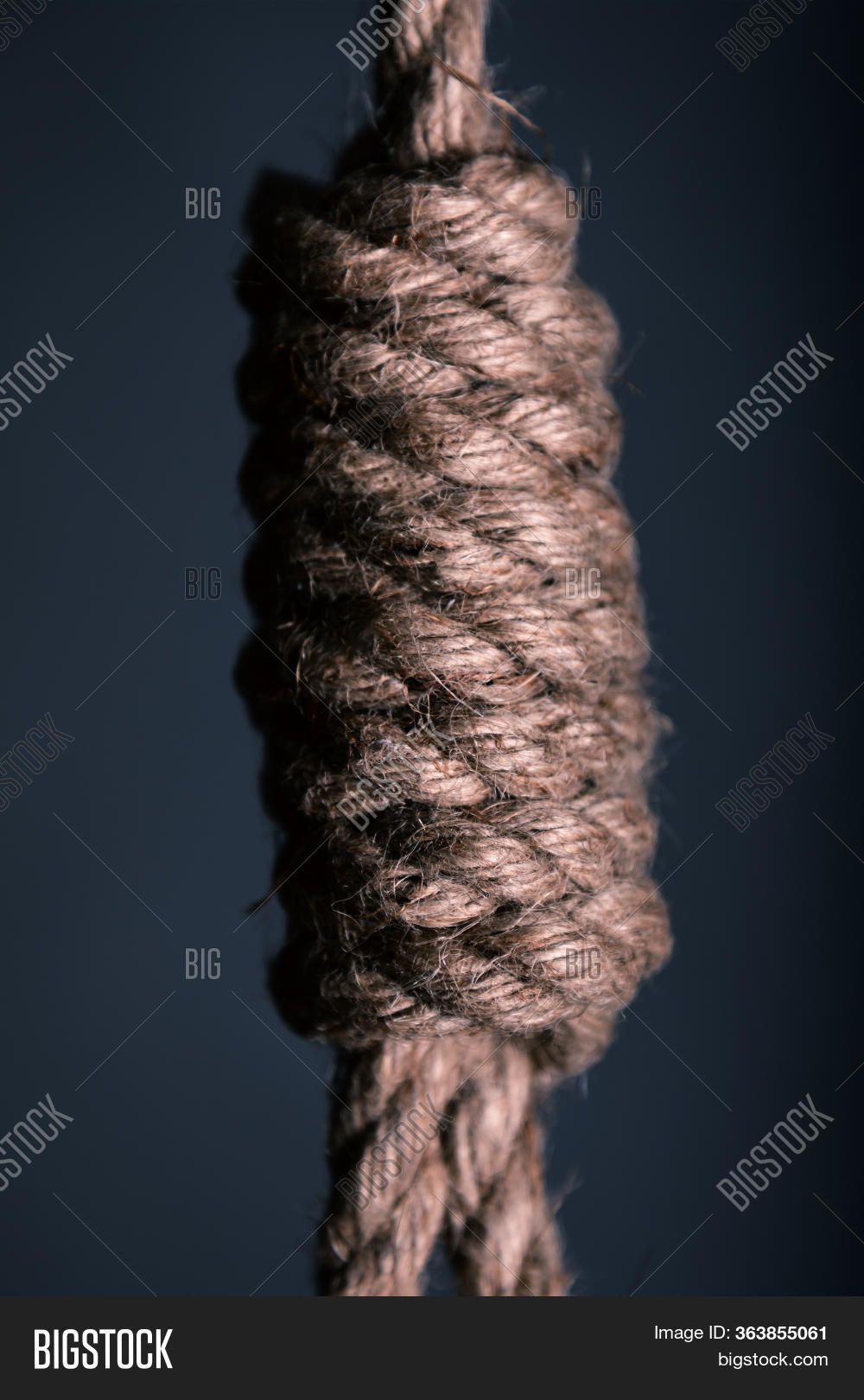 Close- Hang Noose Rope Image & Photo (Free Trial) | Bigstock