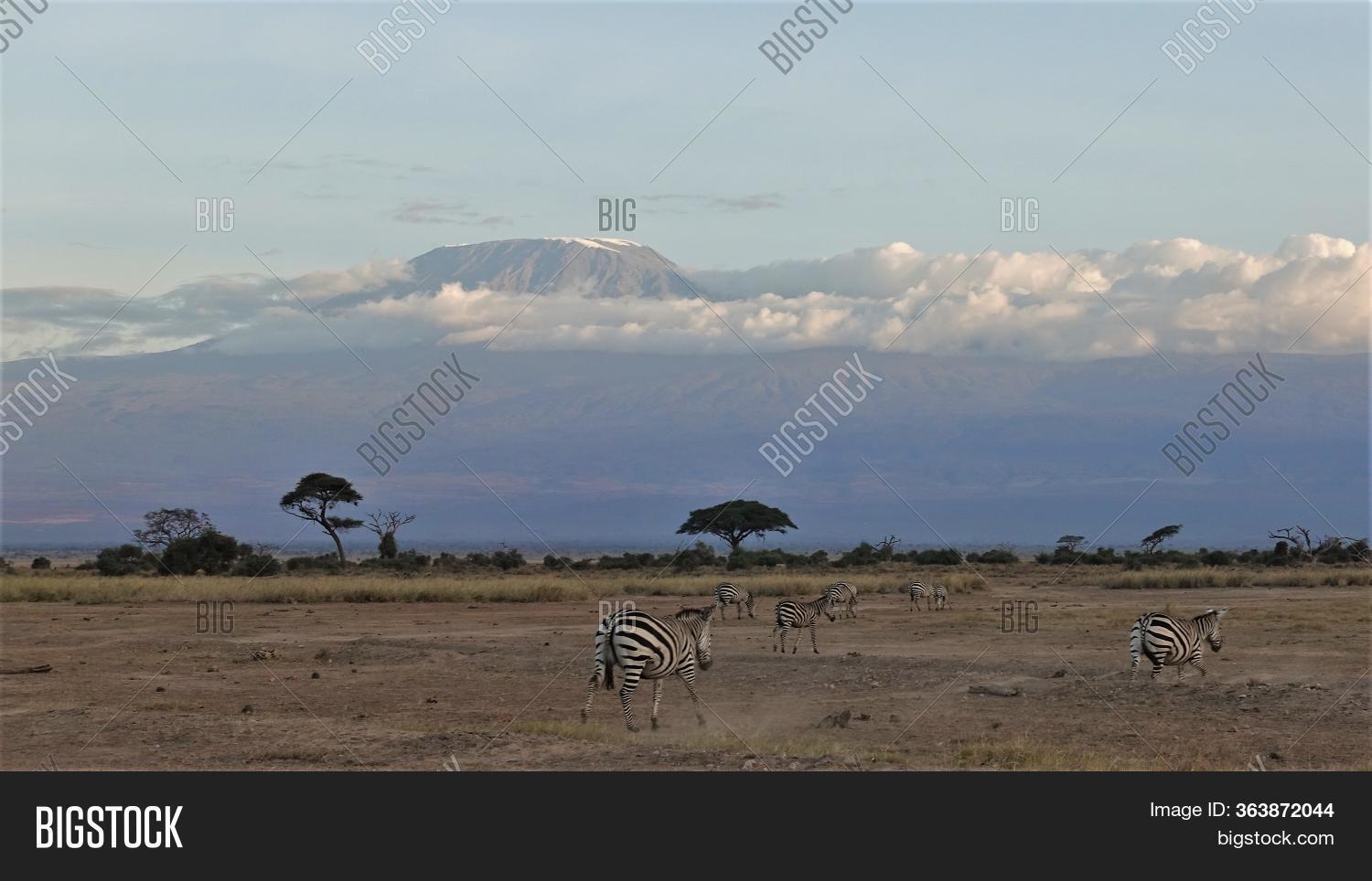 Mount Kilimanjaro. Image & Photo (Free Trial) | Bigstock