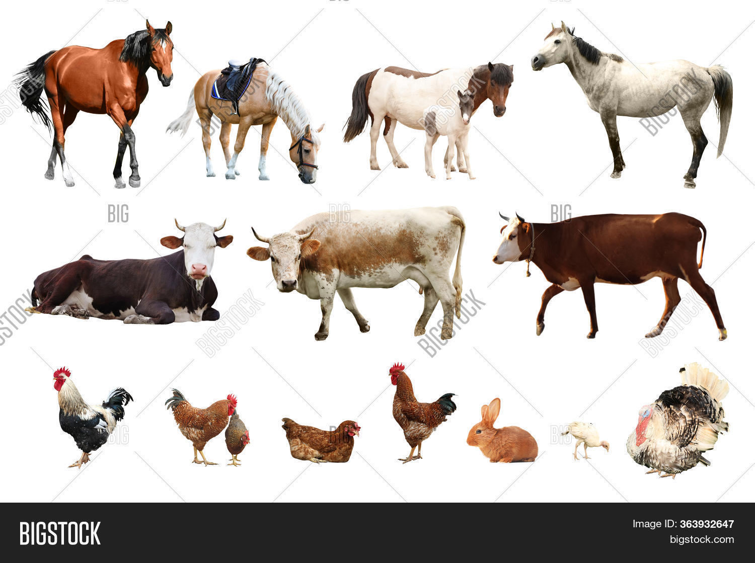 Collage Different Farm Image & Photo (Free Trial) | Bigstock