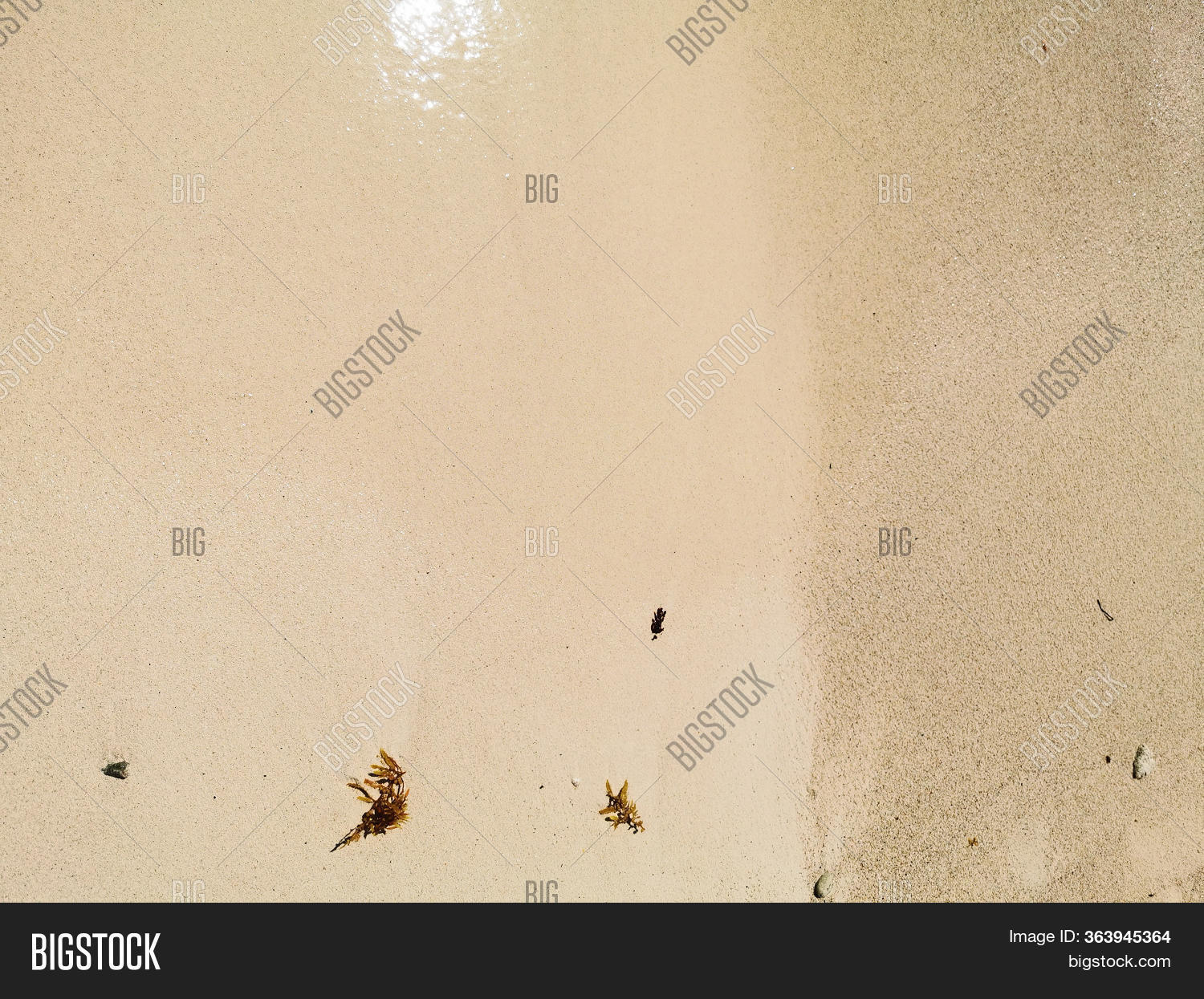 Fine Sand Mexican Image & Photo (Free Trial) | Bigstock