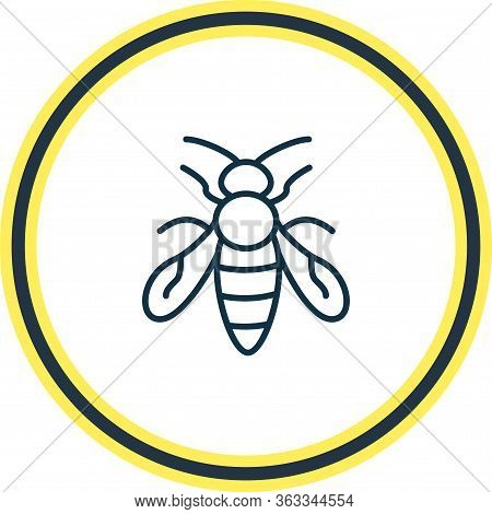 Bee Sting Images, Illustrations & Vectors (Free) - Bigstock