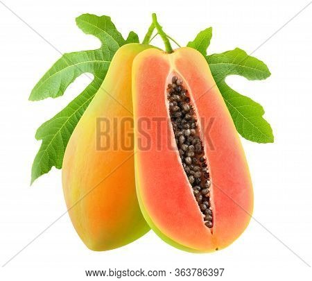 Papaya Images, Illustrations & Vectors (Free) - Bigstock