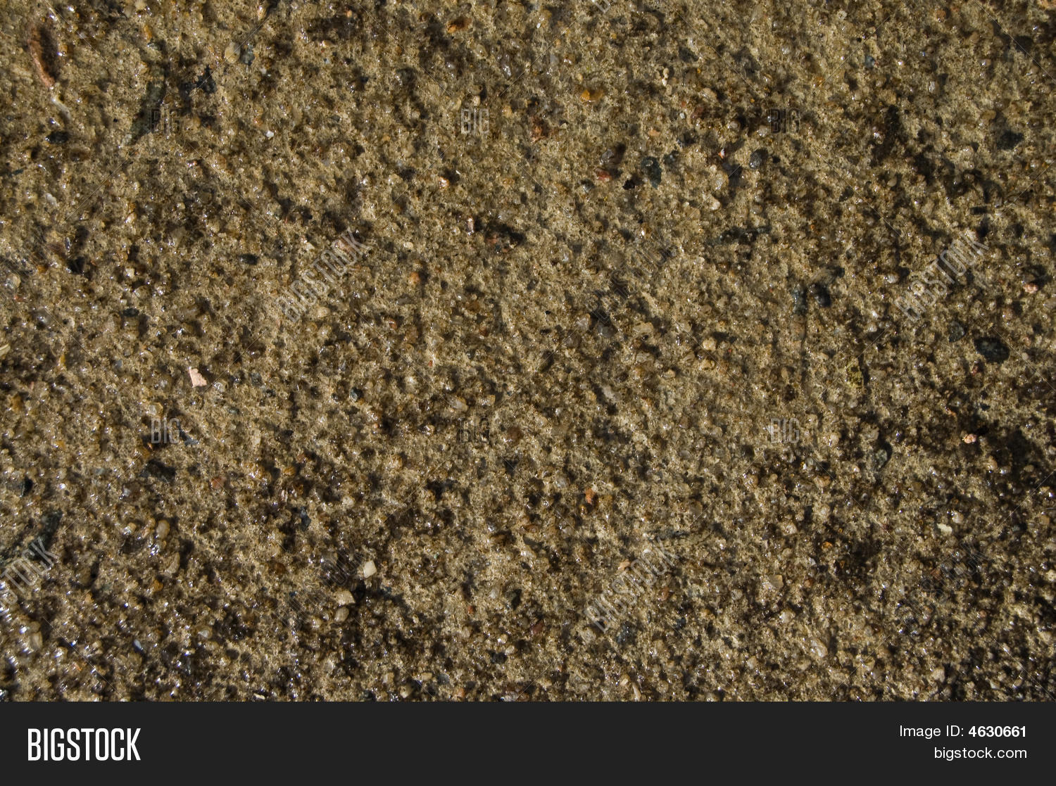Texture Acid Pitted Image & Photo (Free Trial) | Bigstock