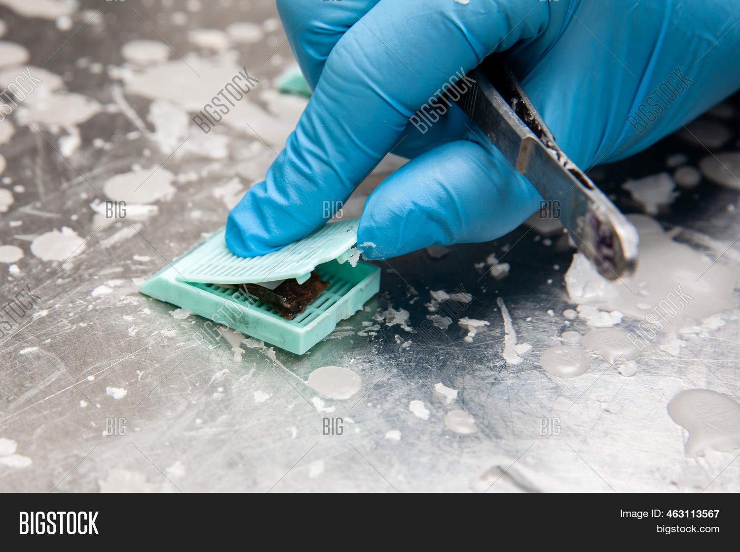 Cassette Containing Image & Photo (Free Trial) | Bigstock