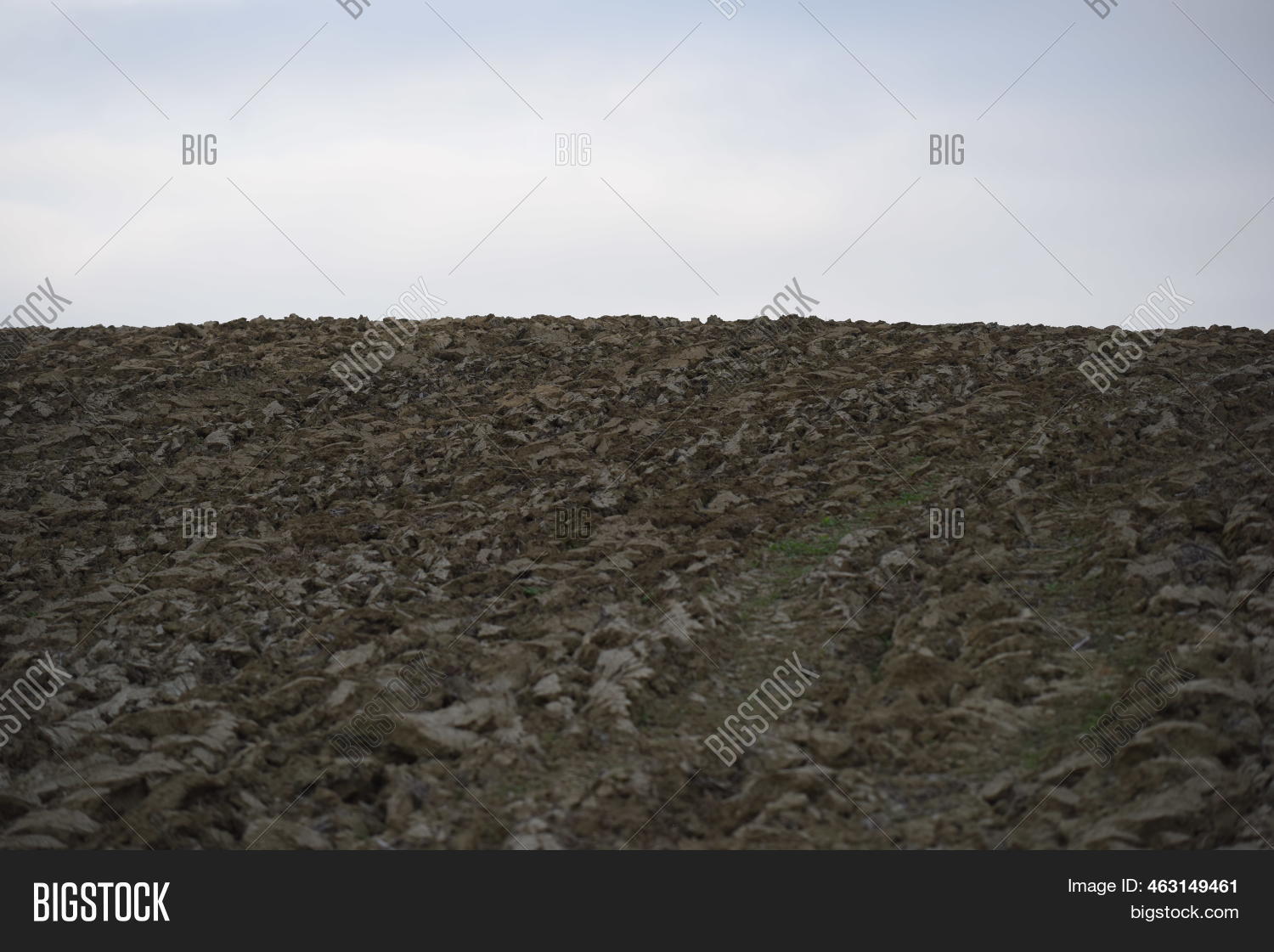 Humus On Field Image & Photo (Free Trial) | Bigstock