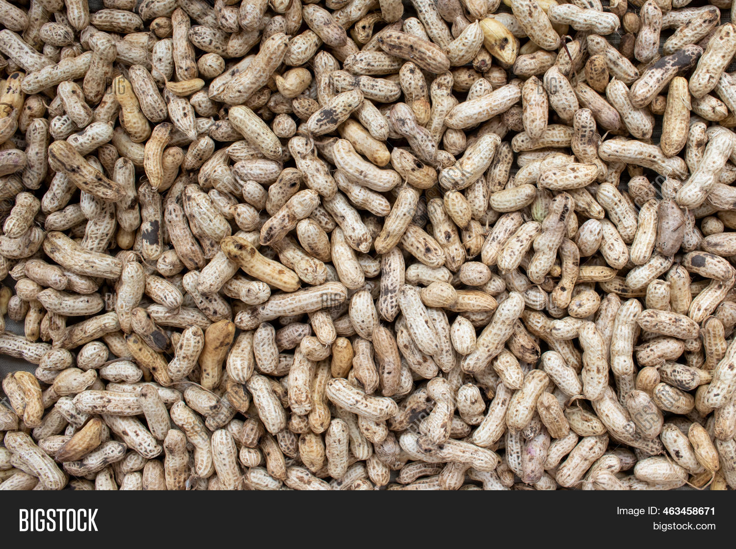 Raw Peanuts Shell Image & Photo (Free Trial) | Bigstock