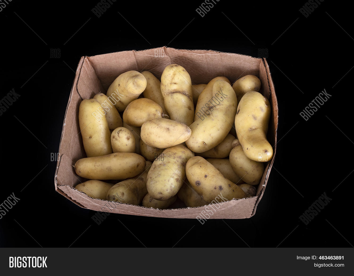 Ratte Potato Front Image & Photo (Free Trial) | Bigstock