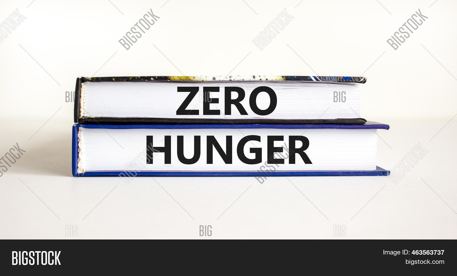 Zero Hunger Symbol. Image & Photo (Free Trial) | Bigstock