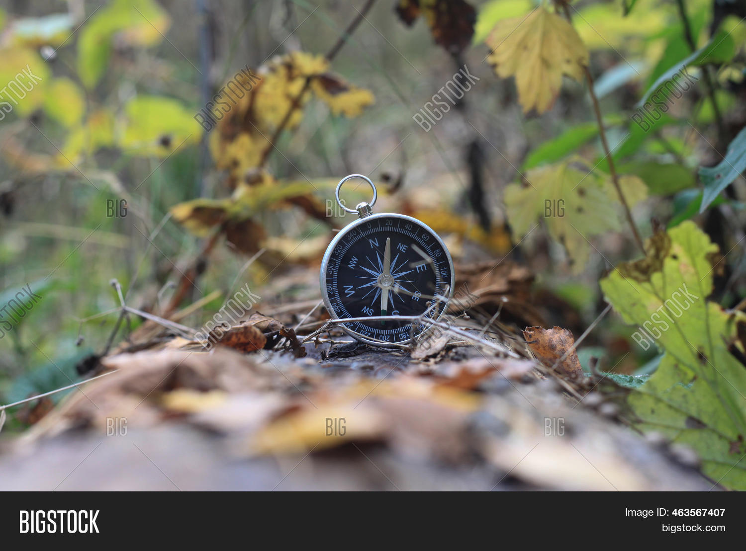 Round Compass On Image & Photo (Free Trial) | Bigstock