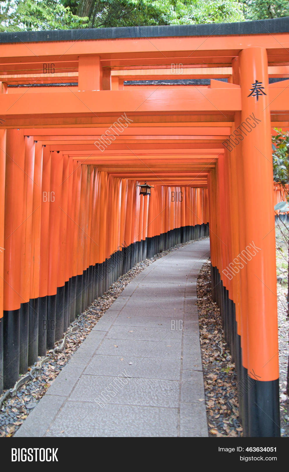 Hundreds Shrine Gates Image & Photo (Free Trial) | Bigstock