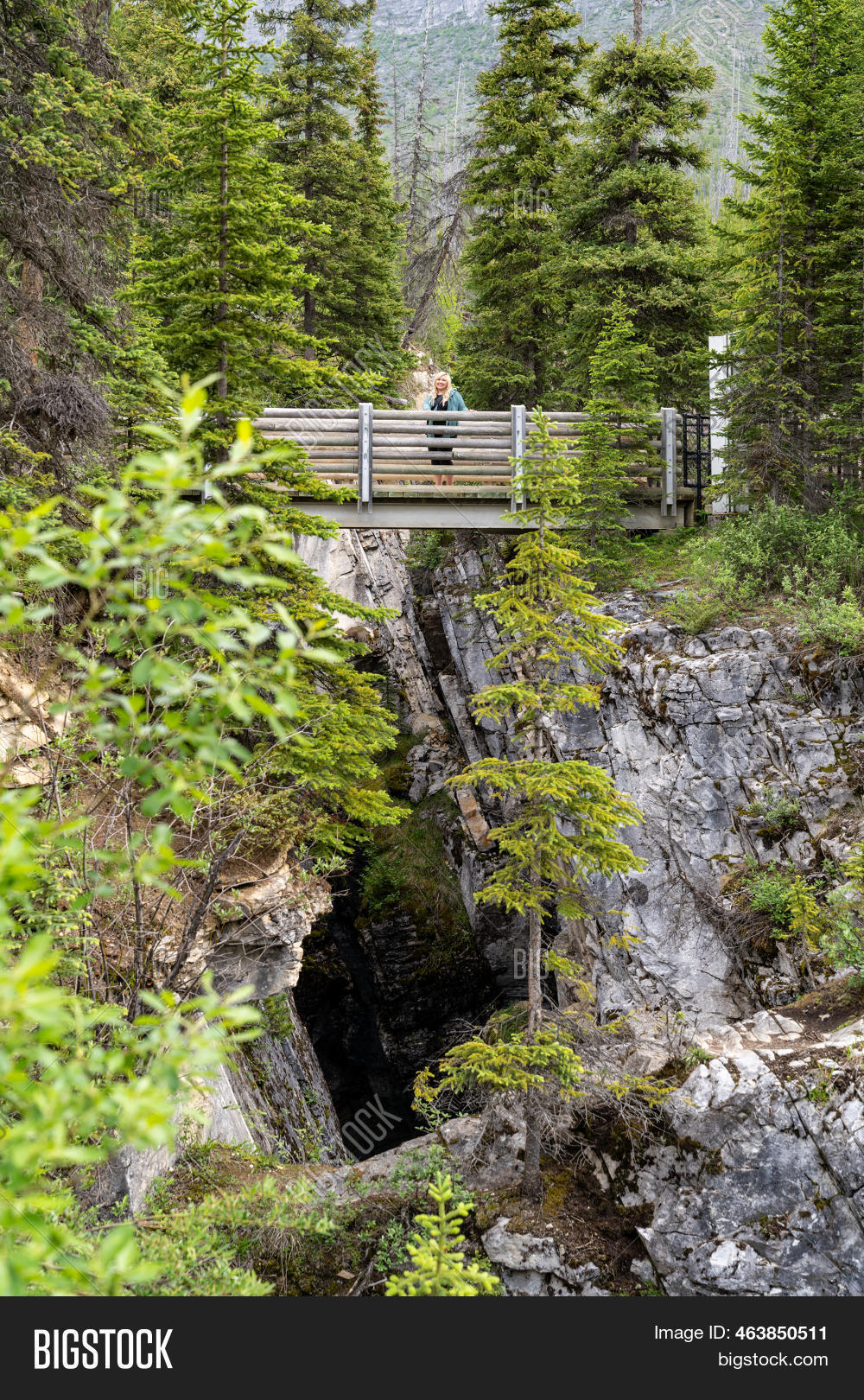 Woman Poses On Bridge Image & Photo (Free Trial) | Bigstock