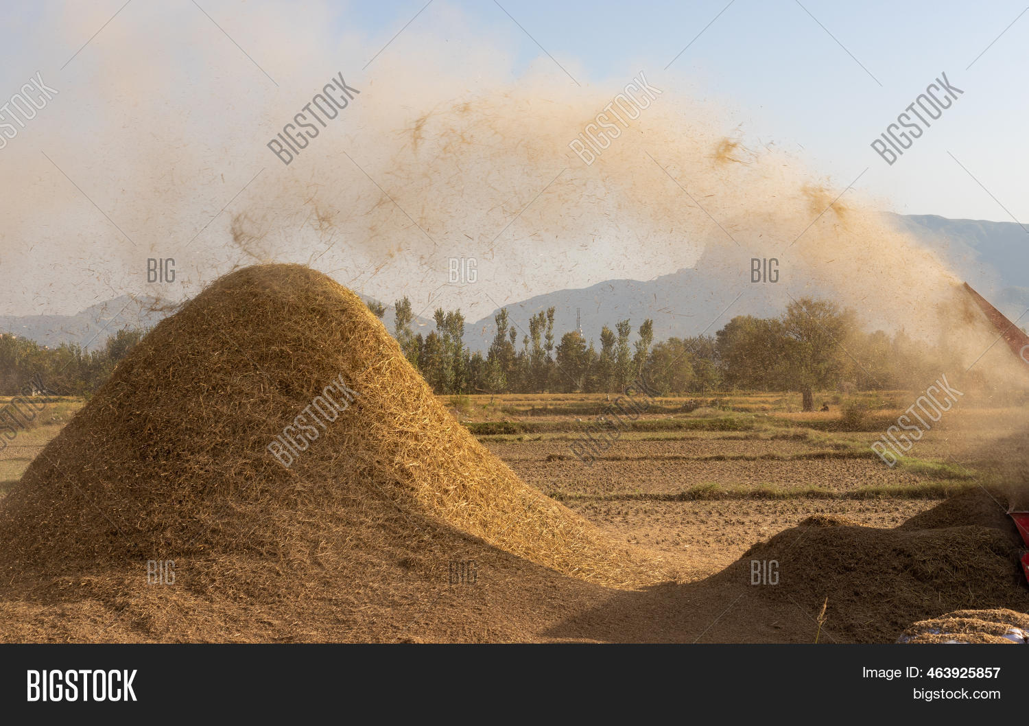 Rice Thresher Machine Image & Photo (Free Trial) | Bigstock