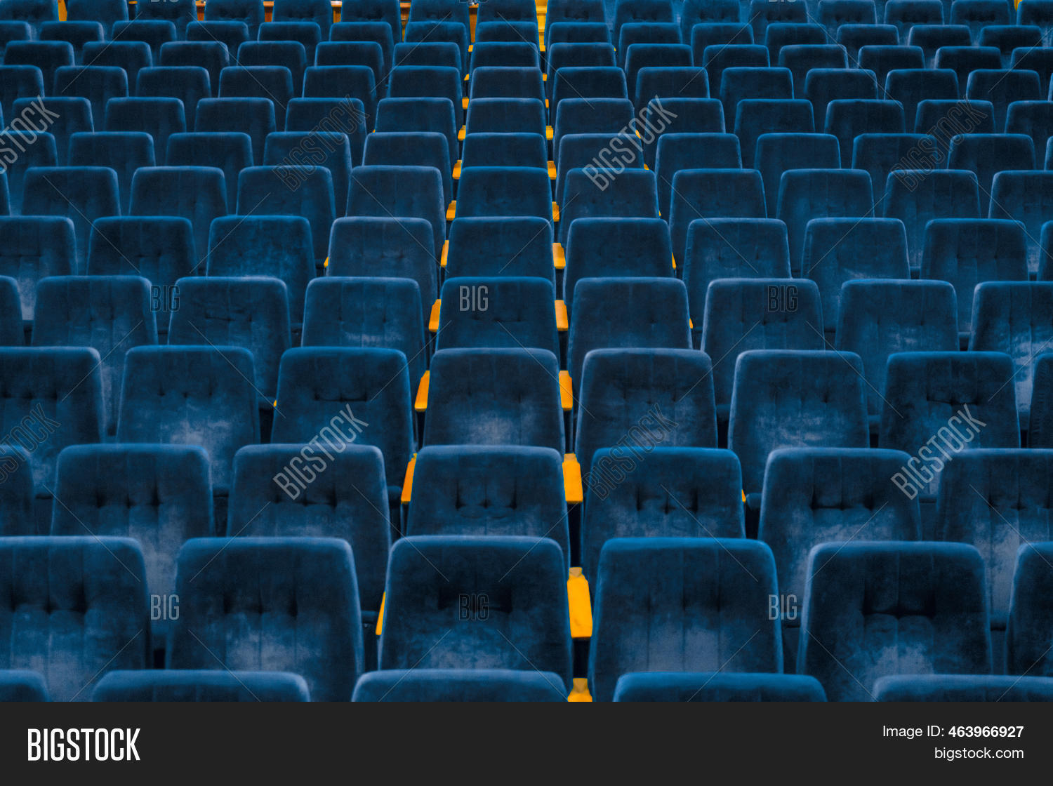 Rows Dark Blue Seats Image & Photo (Free Trial) | Bigstock