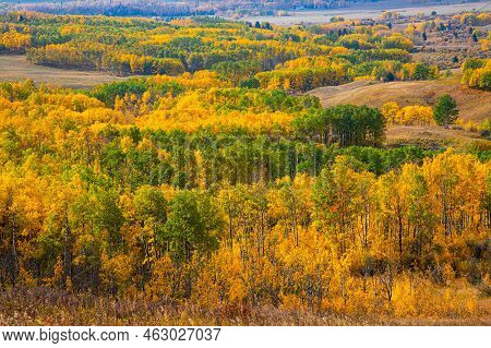 Autumn Prairie Landscape Images, Illustrations & Vectors (Free) - Bigstock
