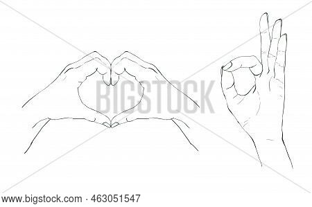 Hands Line Art Style, Image & Photo (Free Trial) | Bigstock
