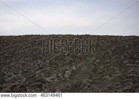 Humus On Field Image & Photo (Free Trial) | Bigstock