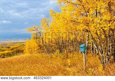 Autumn Prairie Landscape Images, Illustrations & Vectors (Free) - Bigstock