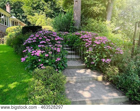 Purple Pathways Images, Illustrations & Vectors (Free) - Bigstock