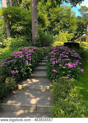 Purple Pathways Images, Illustrations & Vectors (Free) - Bigstock