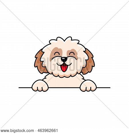 Cute Shih Tzu Dog Vector & Photo (Free Trial) | Bigstock