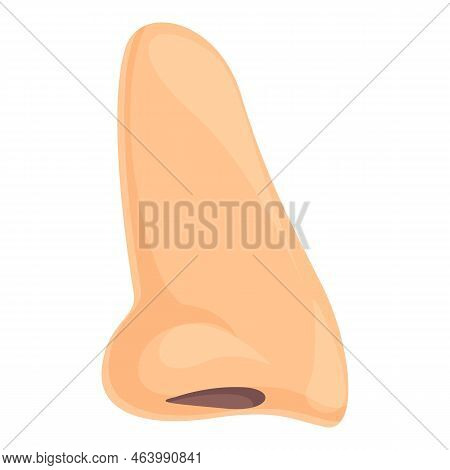 Rhinoplasty Procedure Vector & Photo (Free Trial) | Bigstock