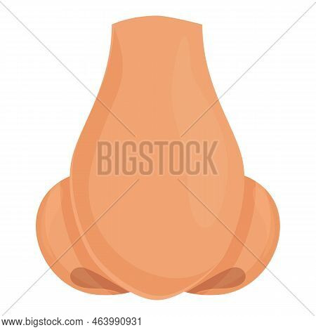 Inside Rhinoplasty Vector & Photo (Free Trial) | Bigstock