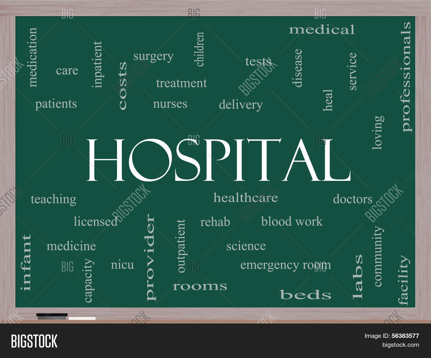 Hospital Word Cloud Image & Photo (Free Trial) | Bigstock