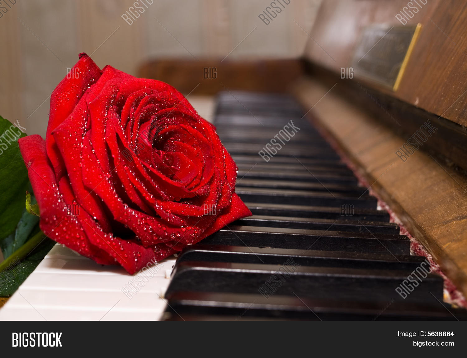 Red Rose On Piano Keys Image & Photo (Free Trial) | Bigstock
