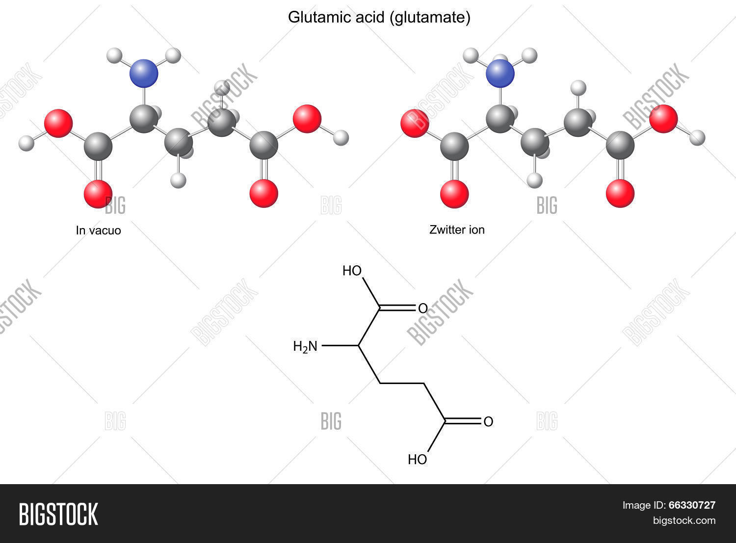 Glutamic Acid (glu Vector & Photo (Free Trial) | Bigstock