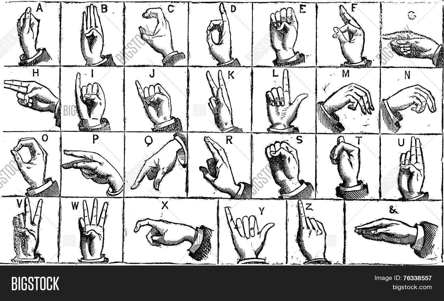 One-handed Manual Vector & Photo (Free Trial) | Bigstock