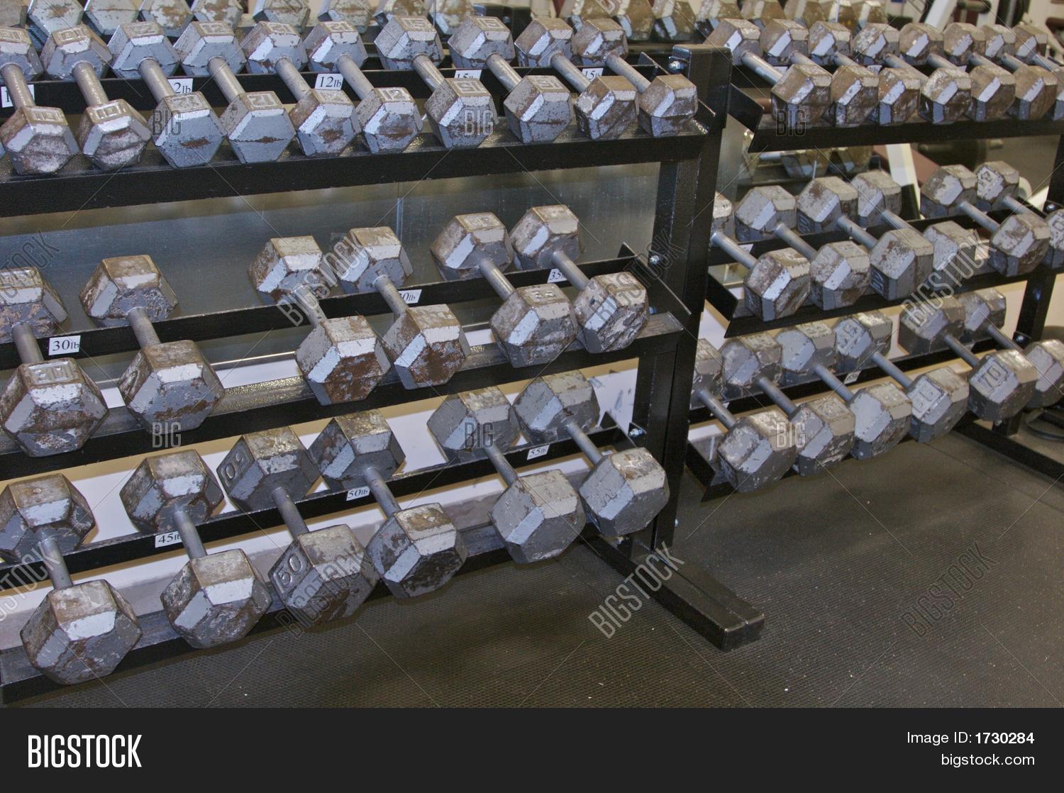 Free Weights Image & Photo (Free Trial) | Bigstock