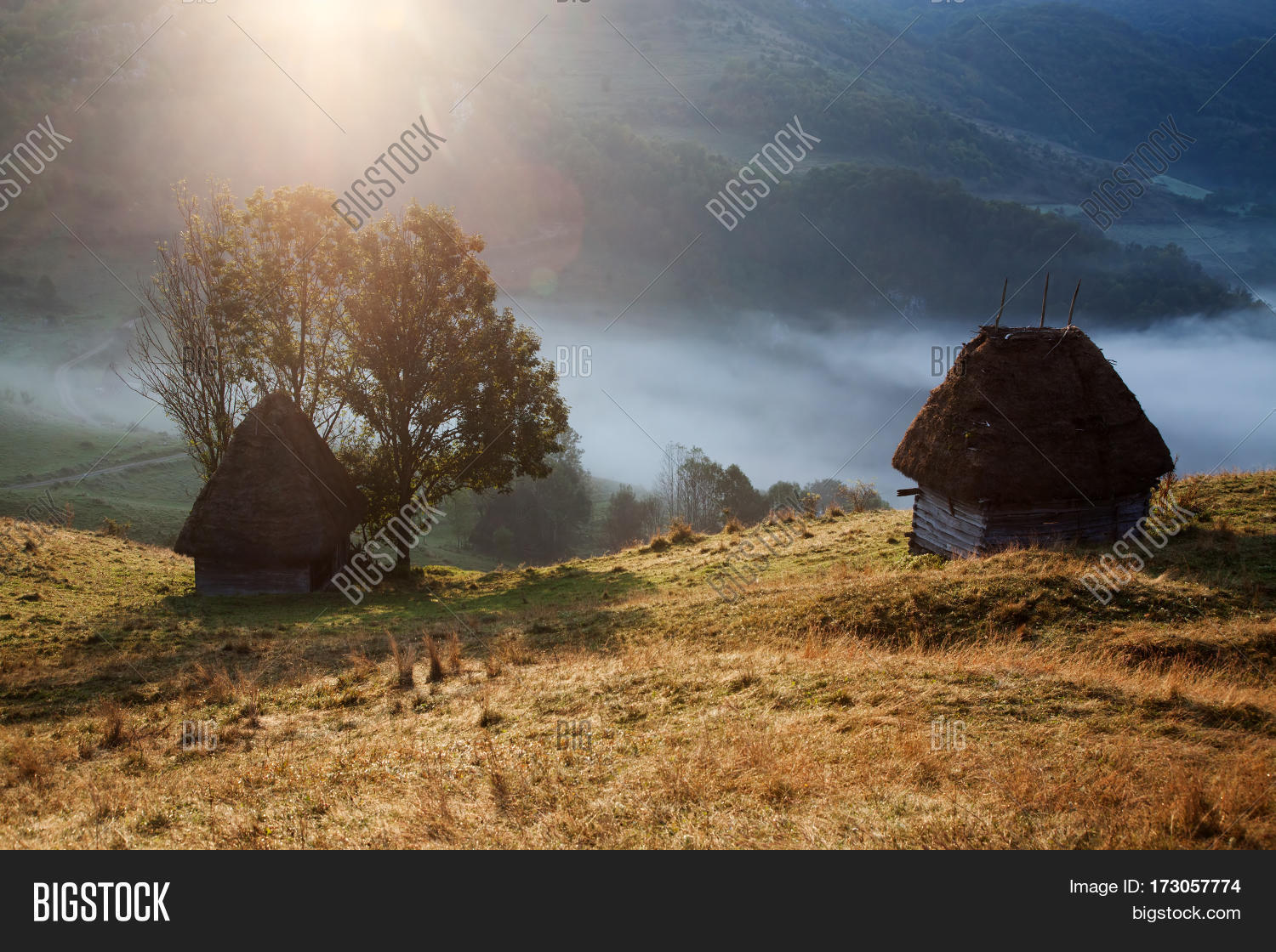 Misty Spring Morning Image & Photo (Free Trial) | Bigstock