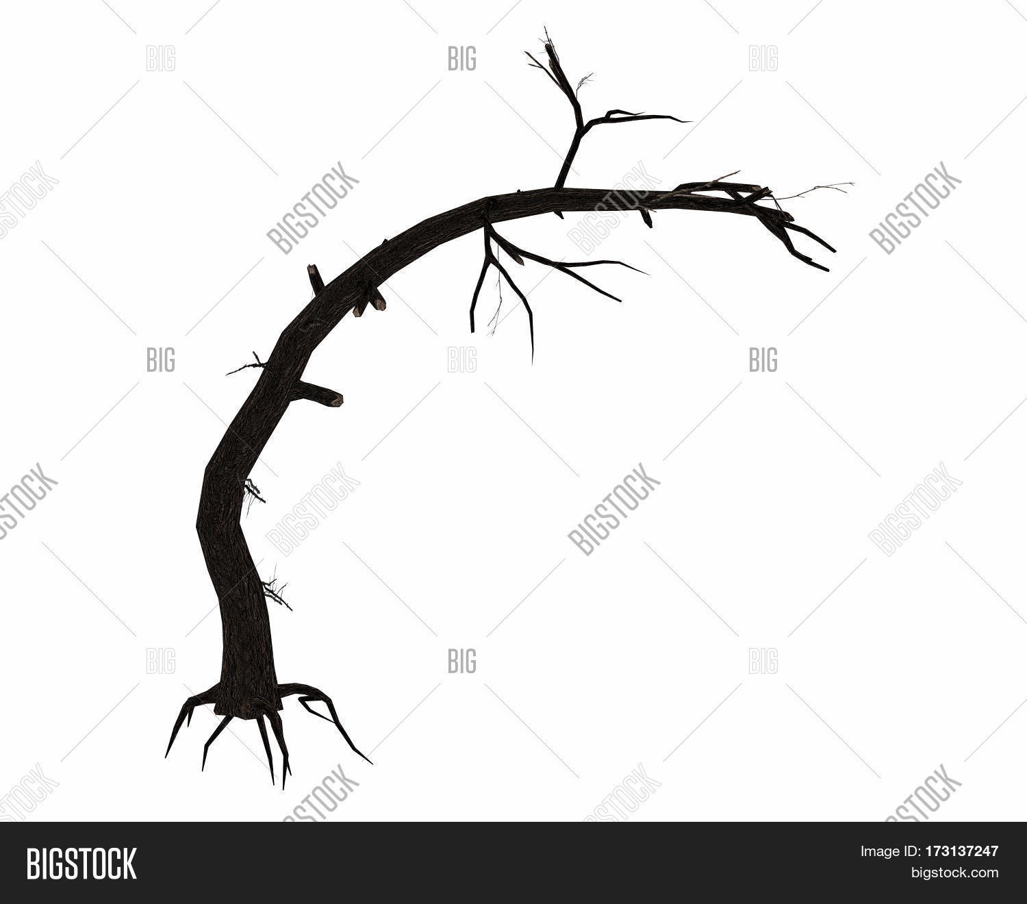 Dead Bent Tree Trunk Image & Photo (Free Trial) | Bigstock