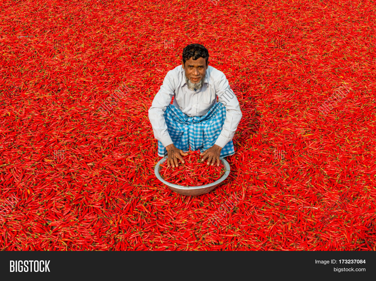 Working Red Chillies Image & Photo (Free Trial) | Bigstock