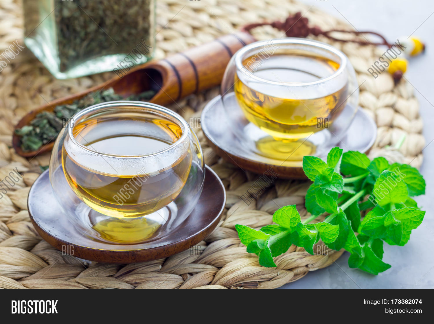 Healthy Herbal Mint Image & Photo (Free Trial) | Bigstock