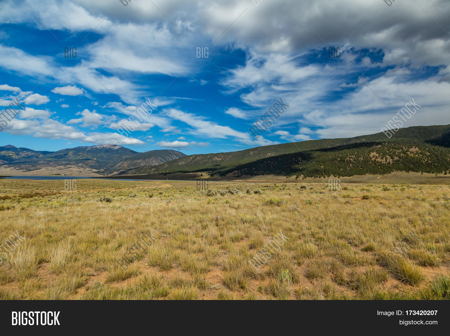 Enchanted Circle Image & Photo (Free Trial) | Bigstock