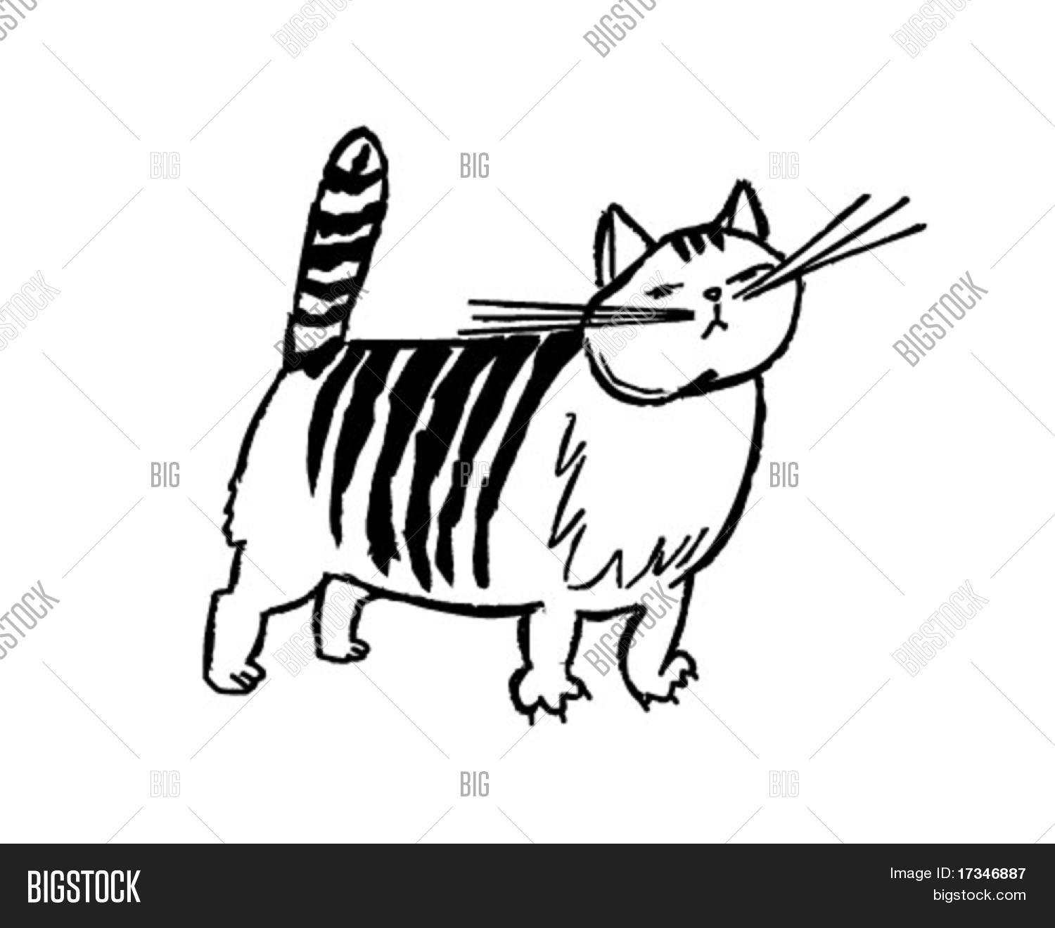Striped Cat - Retro Vector & Photo (Free Trial) | Bigstock