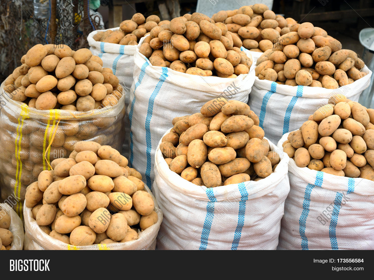 Sacks Potatoes Sale Image & Photo (Free Trial) | Bigstock