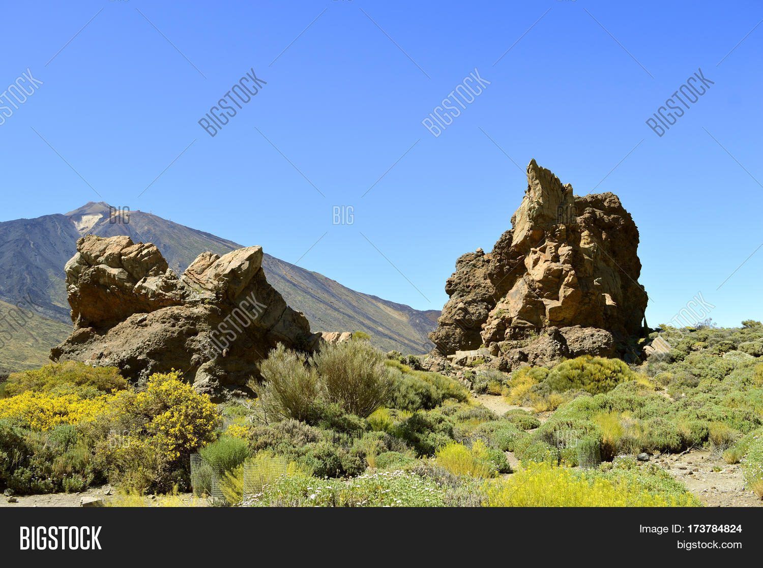 View Mount Teide Image & Photo (Free Trial) | Bigstock