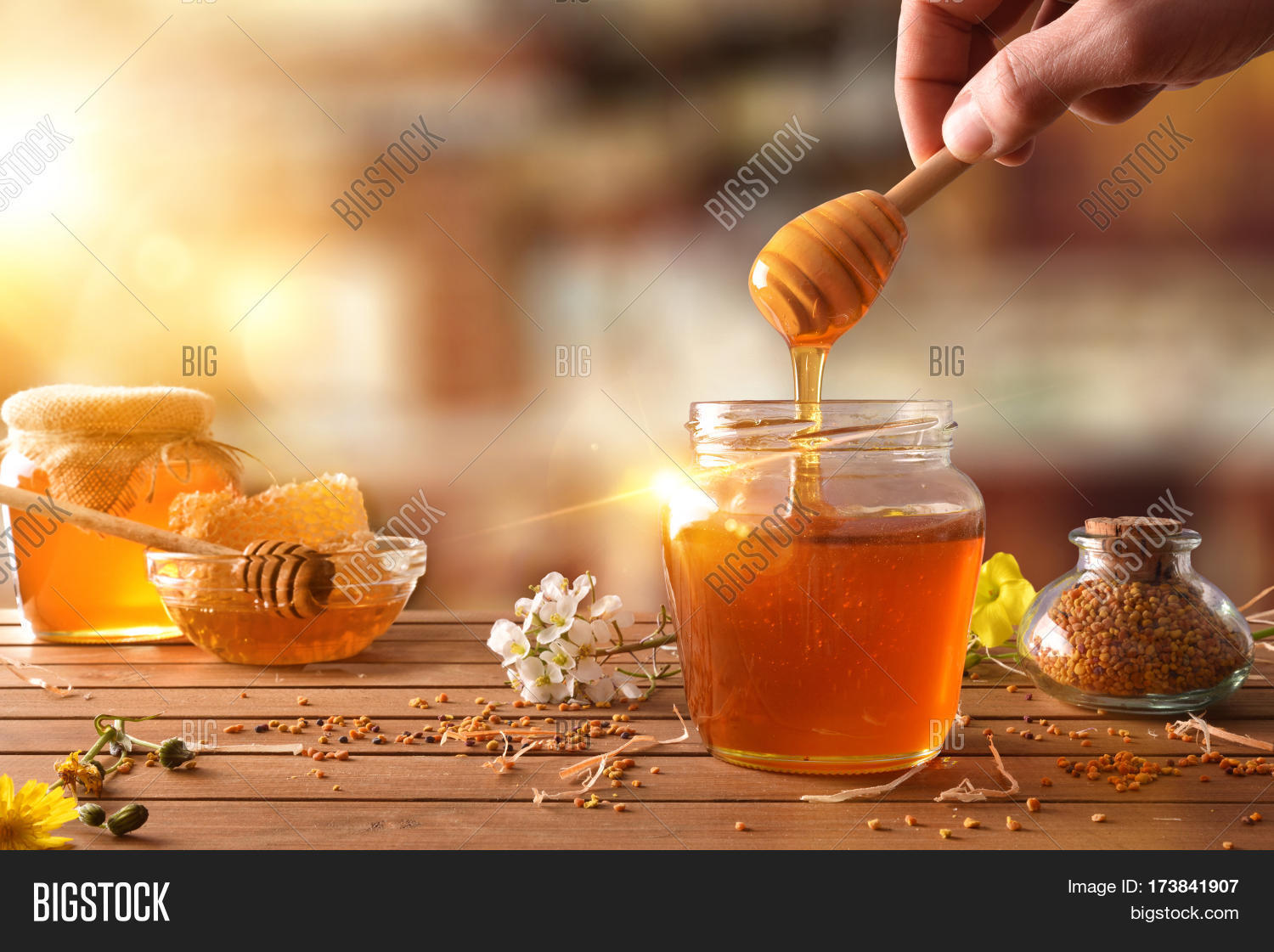 Hand Dipper Picking Image & Photo (Free Trial) | Bigstock