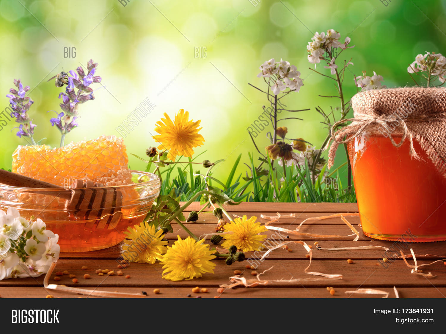 Honey Pot Honeycomb Image & Photo (Free Trial) | Bigstock