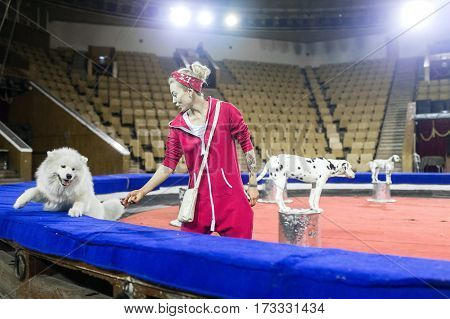 Trainer Woman Trains Image & Photo (Free Trial) | Bigstock