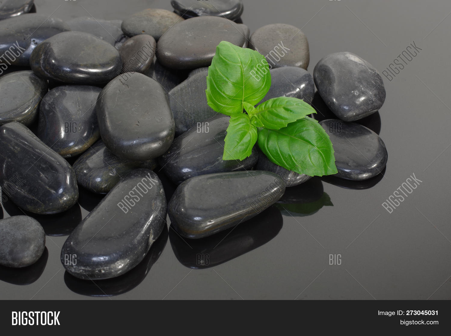 Black Basalt Stones Image & Photo (Free Trial) | Bigstock